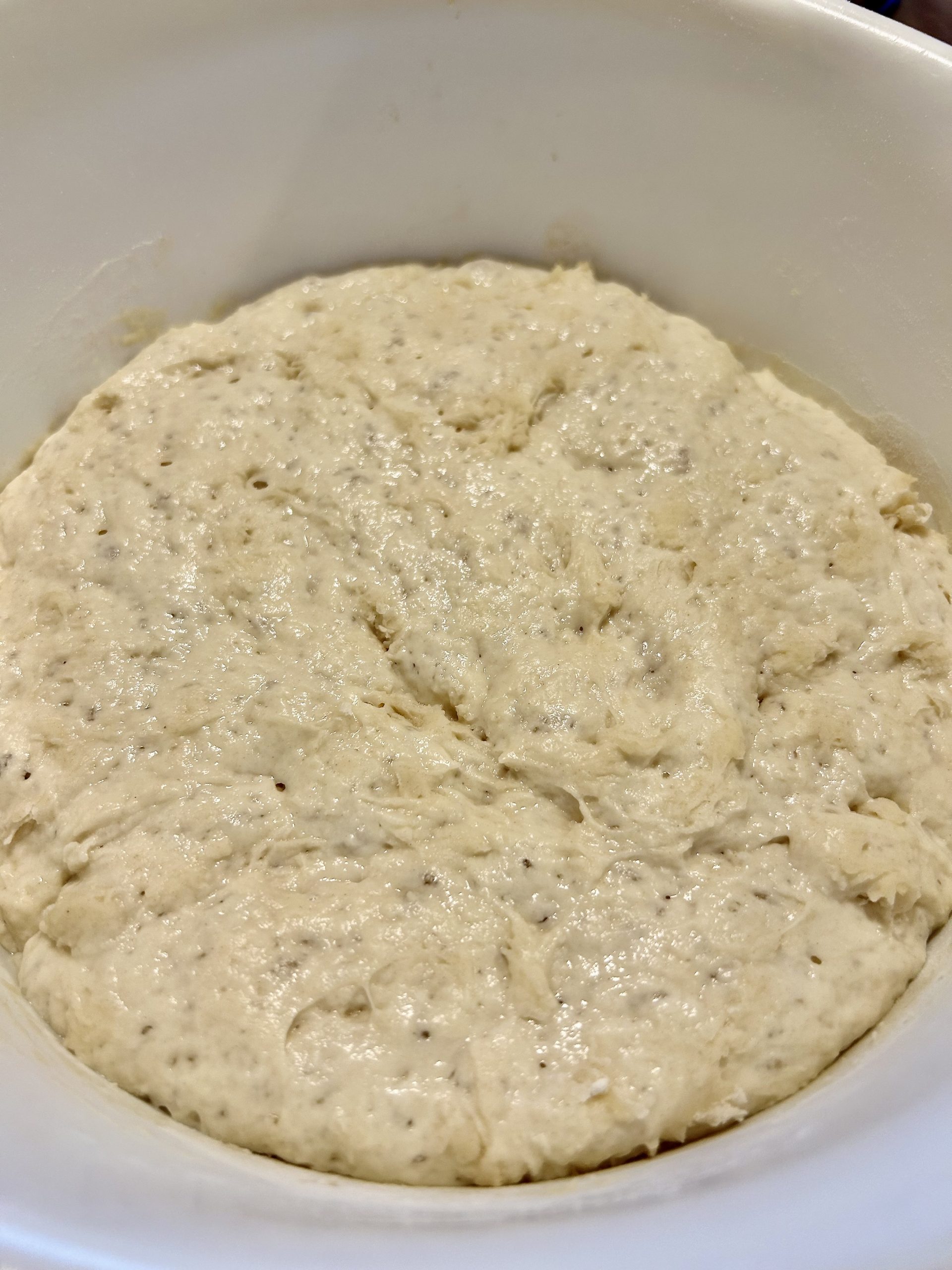 Easy No-knead European Bread - There and Home Again